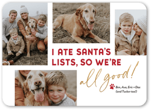 15+ Fun Christmas Card Ideas With Dogs | Shutterfly