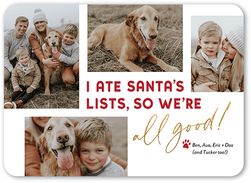 15+ Fun Christmas Card Ideas With Dogs | Shutterfly