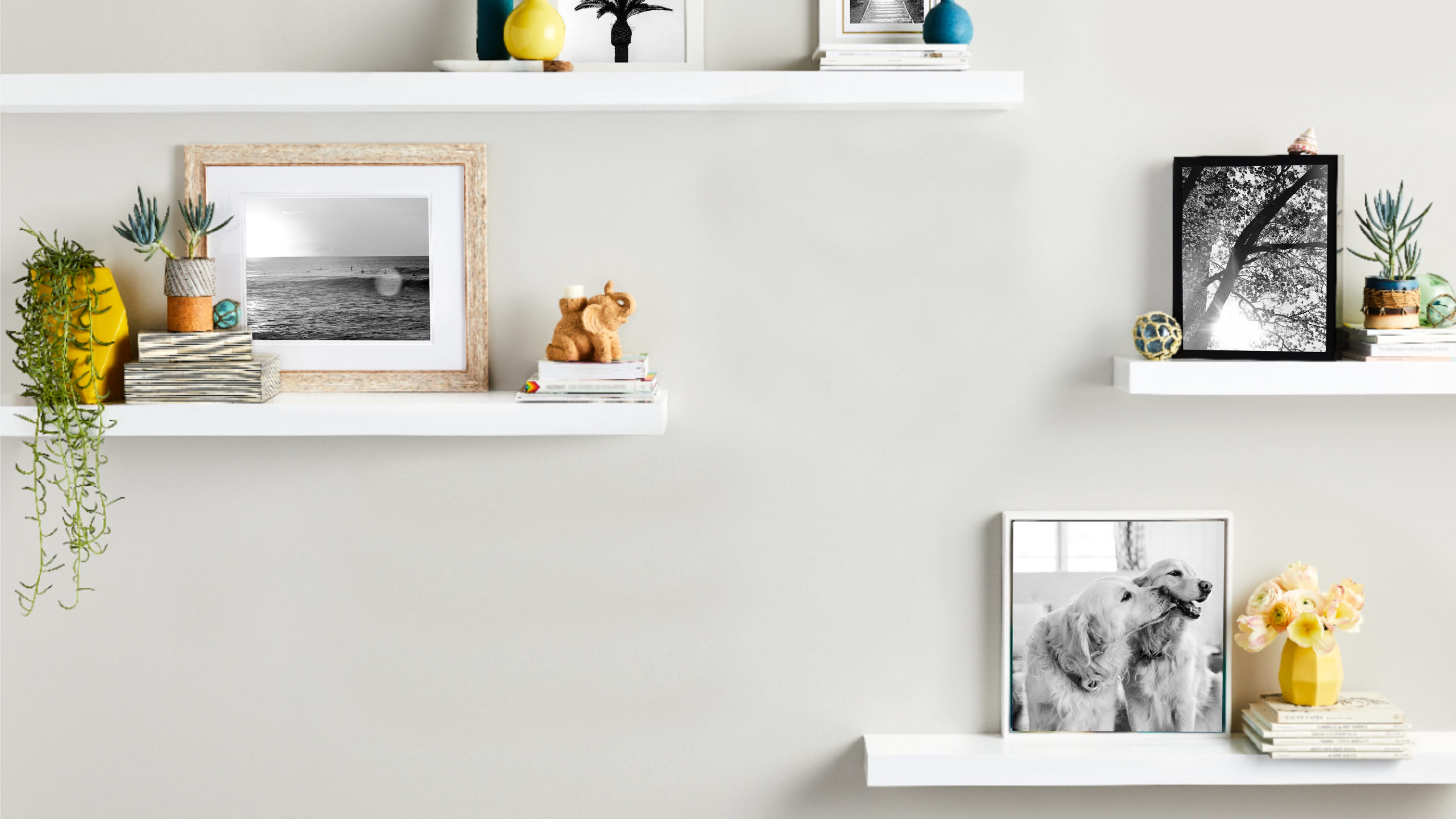 Refreshing Virtual Backgrounds To Use For Video Conferences | Shutterfly