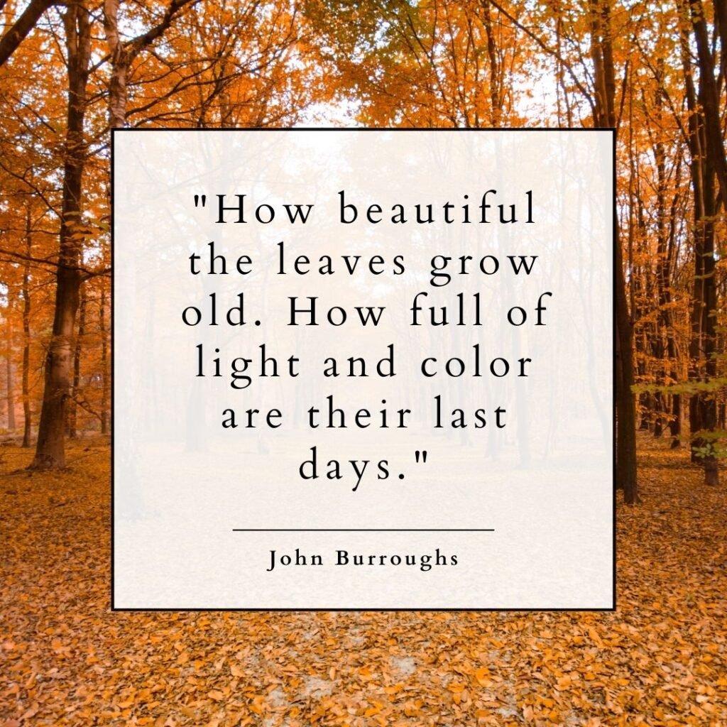 80+ Fall Quotes & Sayings to Celebrate Autumn | Shutterfly