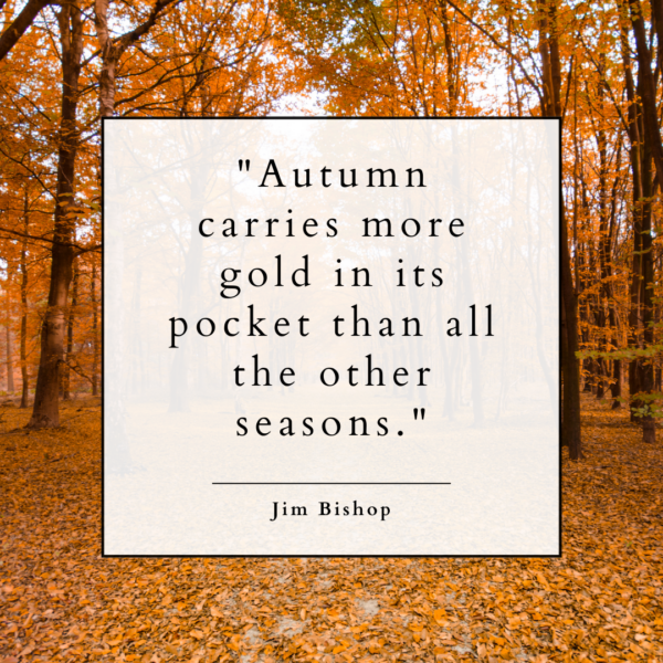 80+ Fall Quotes & Sayings to Celebrate Autumn | Shutterfly