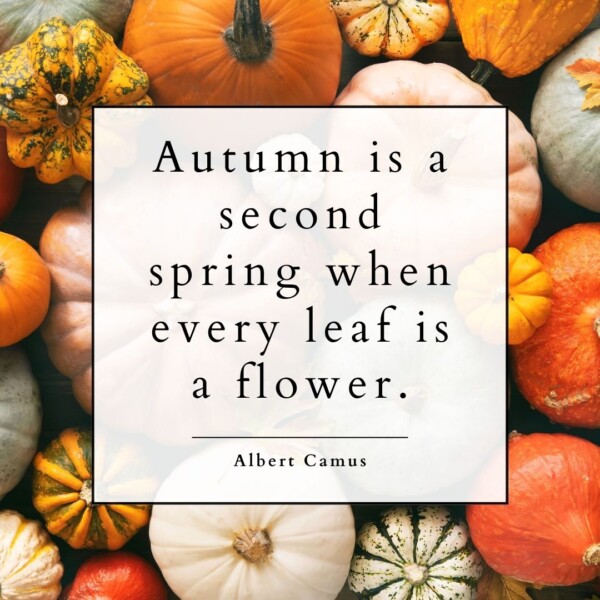 80+ Fall Quotes & Sayings to Celebrate Autumn | Shutterfly
